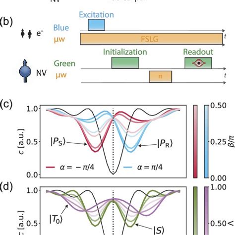 A Spin States Of Spin Correlated Radical Pairs Relative State Download Scientific Diagram