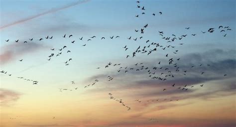 Migrasi Database Dari Aws Postgres Aurora Ke Aws Postgres Rds Menggunakan Aws Dms By Angga