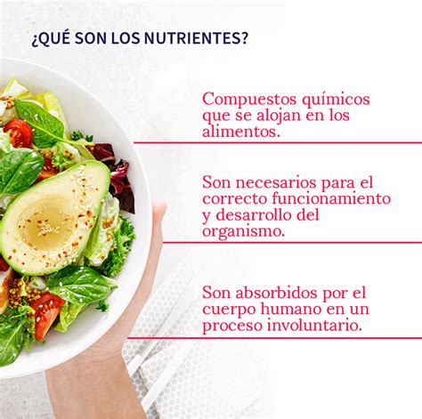 Los 12 Tipos De Nutrientes Caracteristicas Y Funciones En El Organismo
