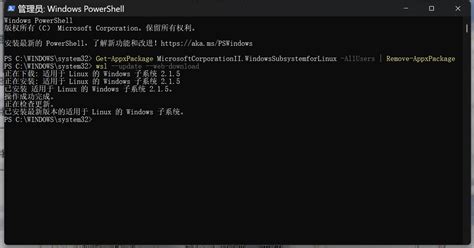 Wsl Install 灾难性故障 开发调优 Linux Do