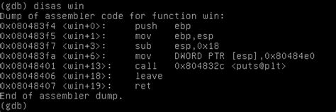 Learn Buffer Overflows Through Visuals Lightfoot Labs