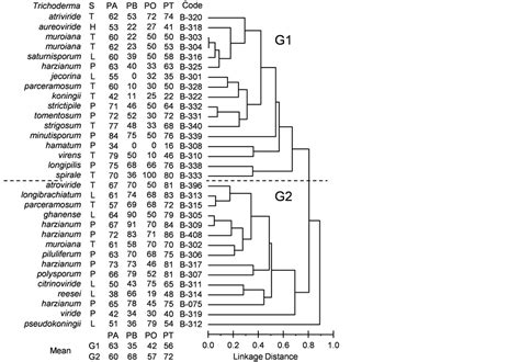 Mycofungicide Trichoderma Based Preparation For Foliar Applications