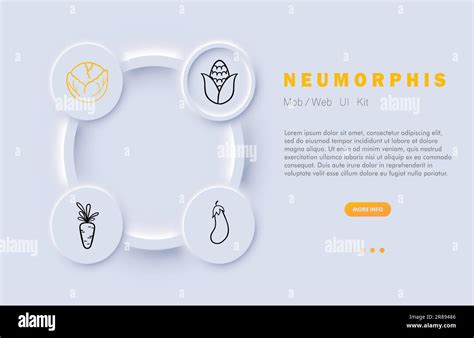 Vegetables Nutritious Plant Based Foods Rich In Vitamins Minerals