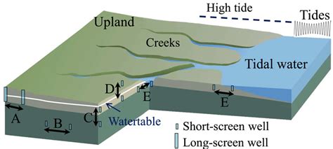 A Conceptual Diagram Of Using Piezometer Water Levels To Quantify Download Scientific Diagram