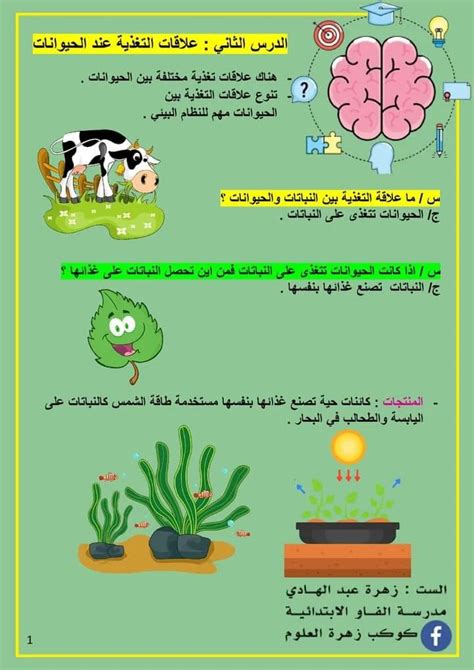 مختصر شرح علوم الثالث ابتدائي الوحدة الاولى من 15 صفحة