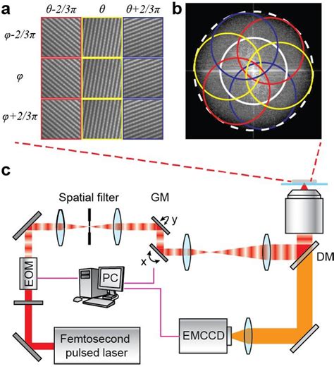 Functional Optical Imaging Laboratory Foil