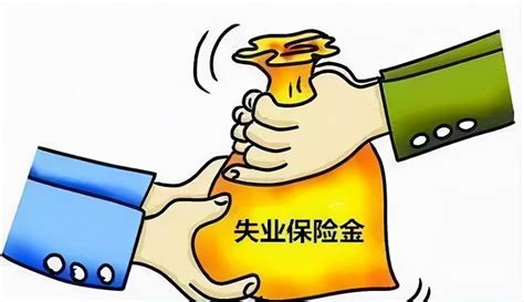 2022失业保险金领取条件标准（怎么申请办理手续及流程） 宽带网