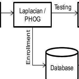 Operations Required To Perform Gender Recognition Download Scientific Diagram