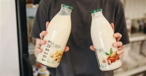 10 Jenis Susu Vegan Alternatif Untuk Orang Yang Alergi Susu Sapi