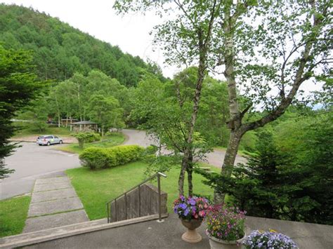 緑の村のお花たち 信州白樺高原 緑の村 別荘地内情報 Blog