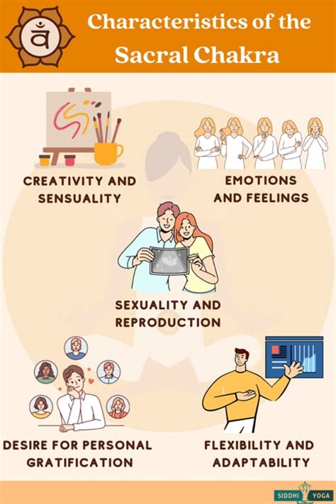 The Sacral Chakra Meaning Function And Location Siddhi Yoga