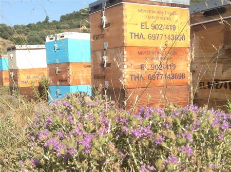 Αρτοποιΐα Ζαχαροπλαστική Γκίκας Τι Μηπως γυριζεις απο μεσημεριανο μπανιο και γουργουριζει το