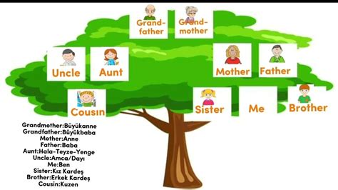 3 Sınıf İngilizce Aile Ağacı Youtube