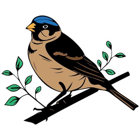 Premium Vector Colorful Sparrow Vector File