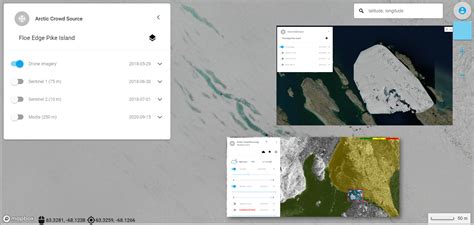 C Core Coresight Services