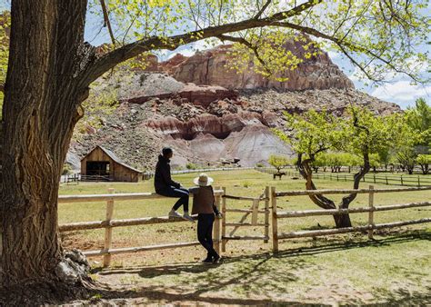 Field And Forest Southwest Roadtrip