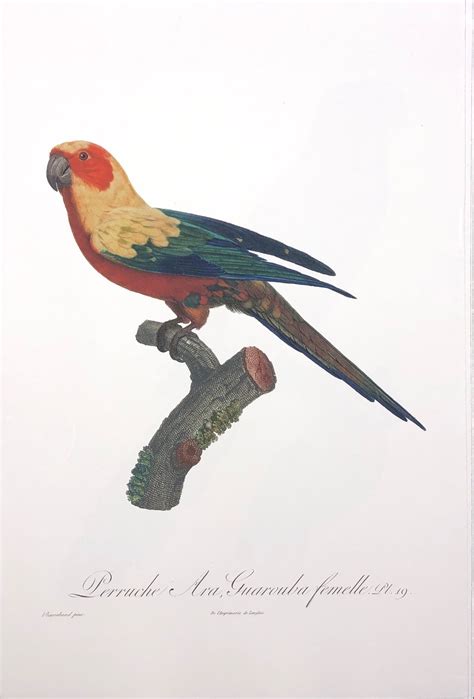 Giclees Jacques Barraband