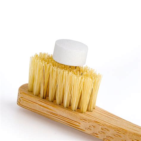 Zinc Citrate Toothpaste Benefits For A Healthier Smile Gaia Guy