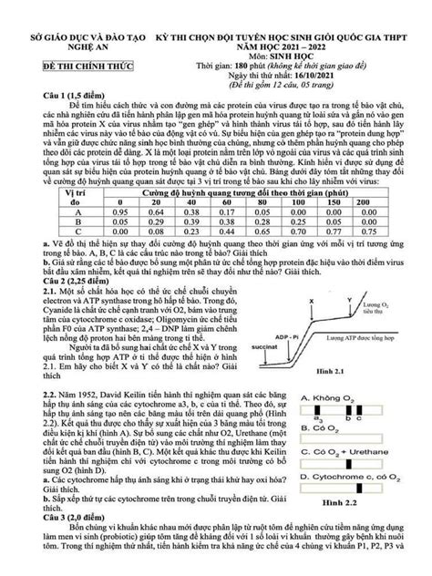 Đề Thi Chọn Đt Hsgqg Tỉnh Nghệ An 2021 2022 Pdf