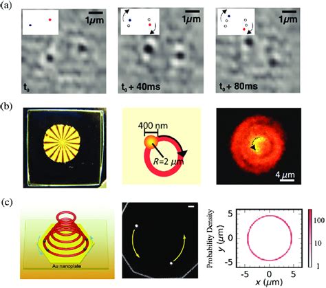 optical trapping of metal particles using structured beams a the download scientific diagram