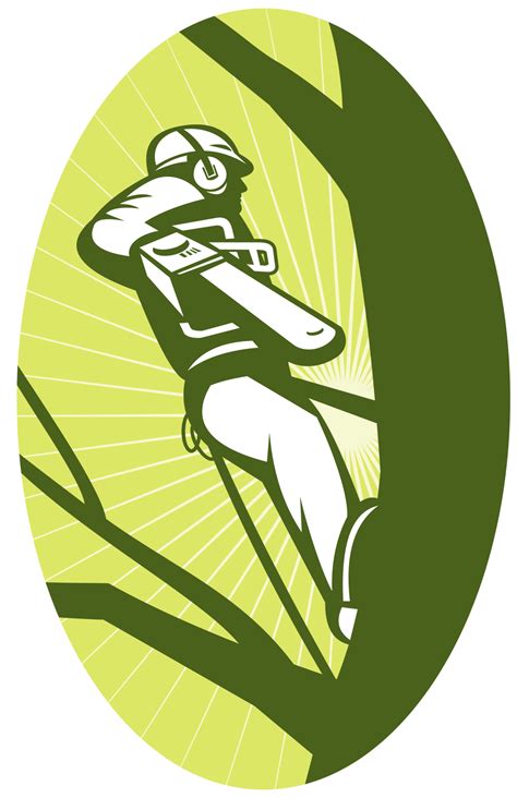 Tree Surgeon Arborist Chainsaw Cutting 13261014 PNG