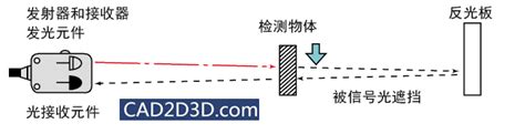 Cad D D