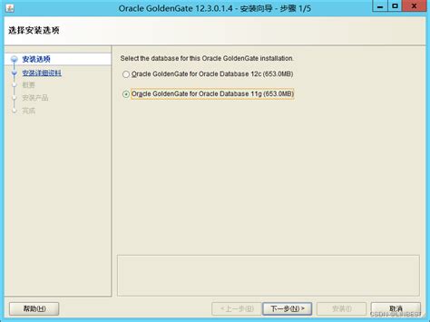 windows安装oracle goldengate 12 3 0 1 5软件 oracle goldengate windows csdn博客