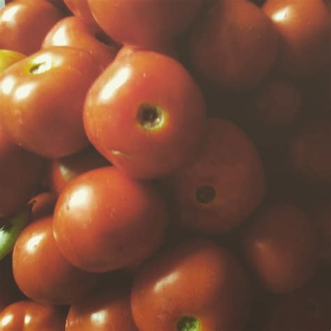 Tomato Album On Imgur