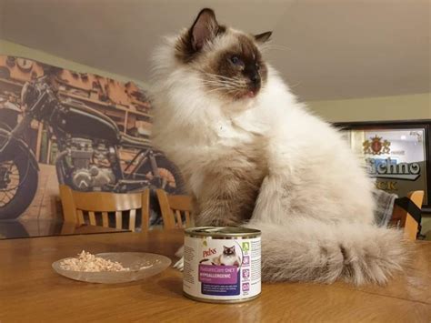 Храна за домашни любимци