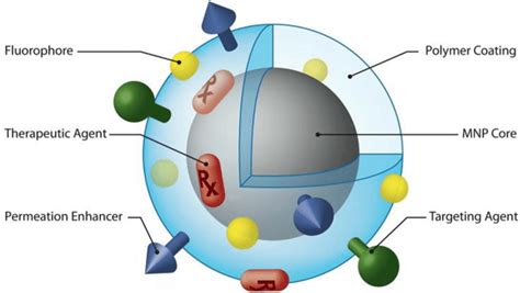 Magnetic Nanoparticle Mnp Possessing Various Ligands To Enable