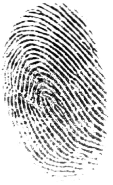 Regularization Of A Fingerprint Image Download Scientific Diagram