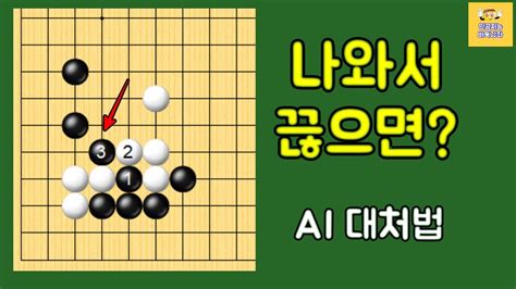 중급자들이 꼭 알아야 하는 수 진짜 나와 끊으면 화점 양걸침 정석꼼수 퇴치법 Youtube