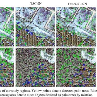 PDF Large Scale Oil Palm Tree Detection From High Resolution Remote Sensing Images Using