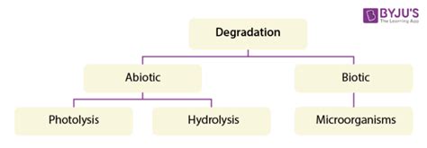 Environmental Toxicology Biotic And Abiotic Degradation Byjus