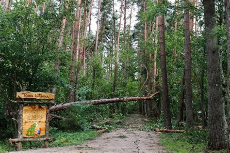 Mammadaba Pēc Vētras Seku Sakopšanas Darbiem Lvm Dabas Parks Tērvetē