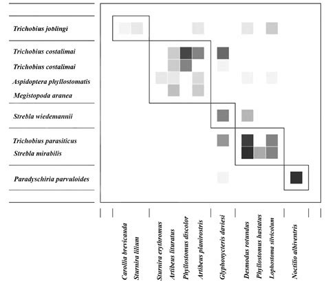 Specialization And Modularity Of A Bat Fly Antagonistic Ecological Network In A Dry Tropical