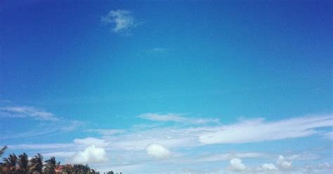 Organic Life In Bali Graunding