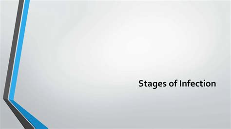 Produce Output Data Using Computer Systempptx Infectious Diseases