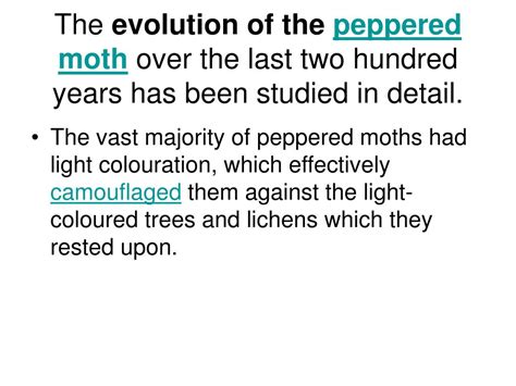 Ppt Peppered Moth Simulation Powerpoint Presentation Free Download