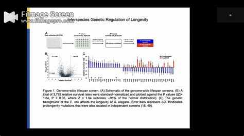 JC Bacteria Derived Metabolite Methylglyoxal Reduces LongevityVerna Sirakawin YouTube
