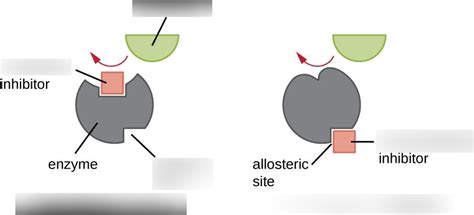 Starch Structural Formula Igcse