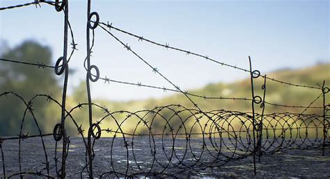 Barbed Wire Pack 10 Game Assets Free