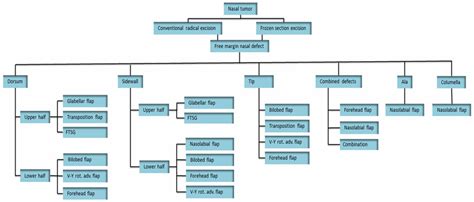 Our Algorithm For Nasal Reconstruction With Local And Regional Flaps Download Scientific Diagram