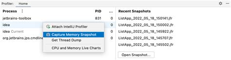 Create And Open Memory Snapshots IntelliJ IDEA