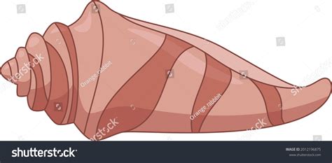 Shell Spiral Conical Shell Sea Ocean Over 23 Royalty Free Licensable