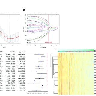 A Prognostic Risk Model Was Established Using LASSO Regression And Cox