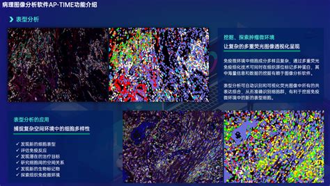 一张多色荧光图像可分析出多少种表型细胞 知乎
