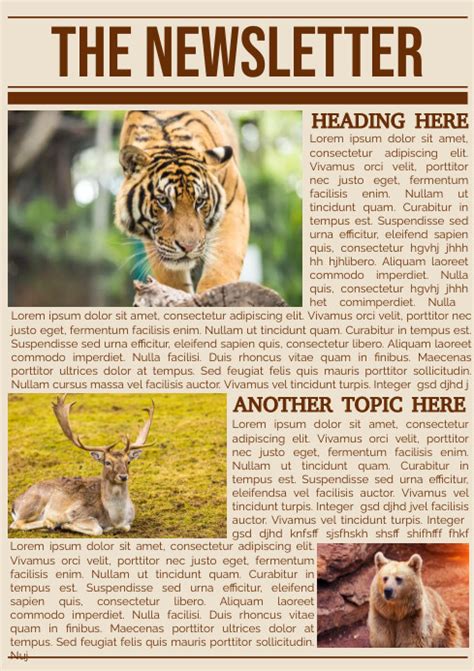 Newsletter Layout Template Postermywall