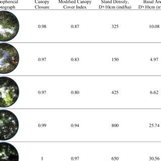The Appearance Of Tree Canopy Density In The Field Download Scientific Diagram