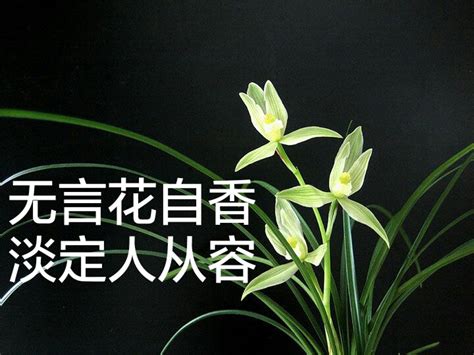 淡定从容的图片 修炼自己心境的图片 伤感说说吧